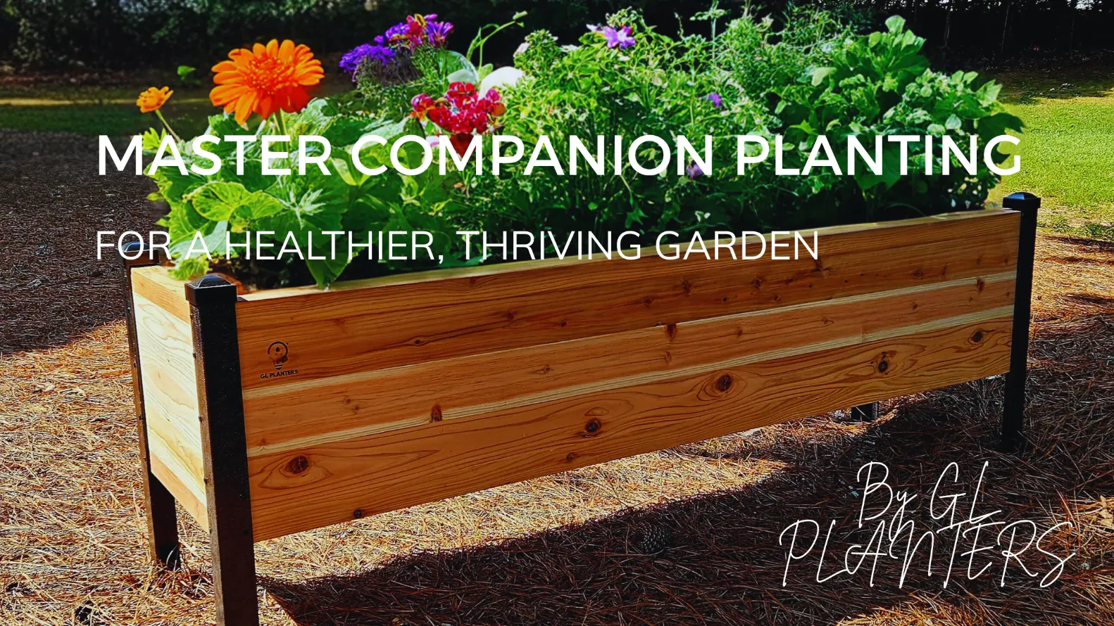 Companion Planting Chart for Raised Beds (2026)